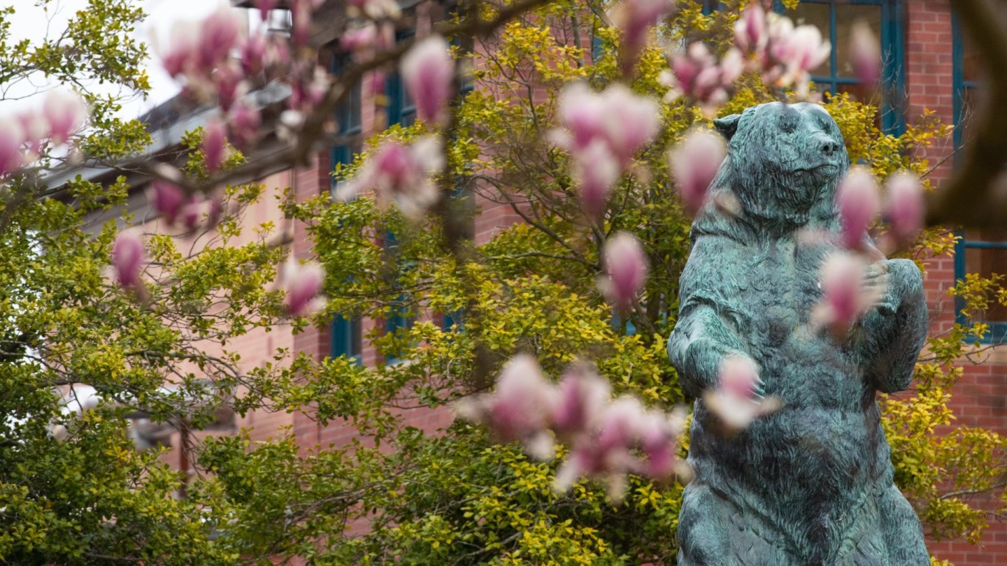 Looking Forward to Spring 2024 | Department of Earth, Environmental ...